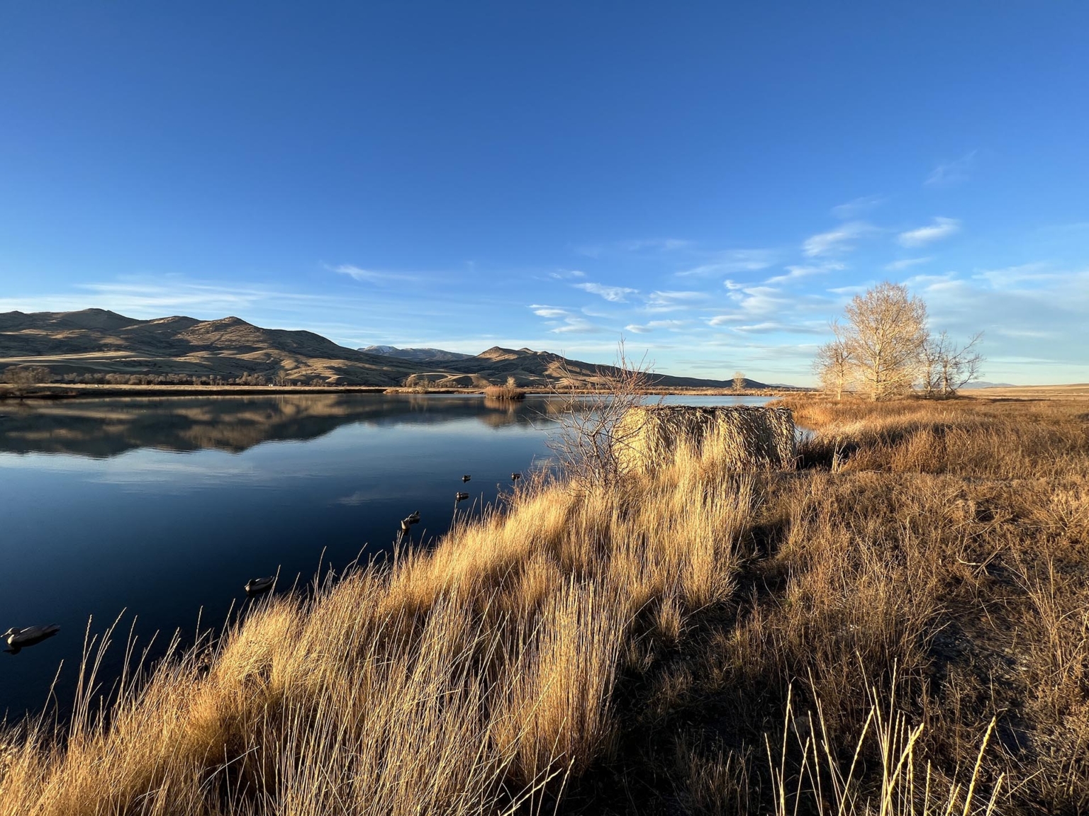 CloverCrest Ranch on the Jefferson | Twin Bridges Montana | Fay Ranches