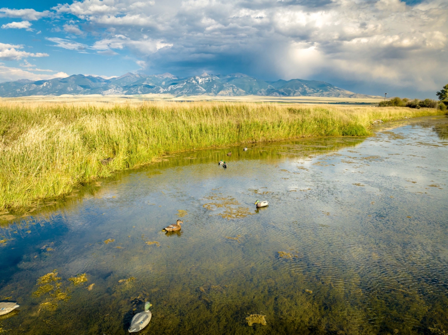 CloverCrest Ranch on the Jefferson | Twin Bridges Montana | Fay Ranches