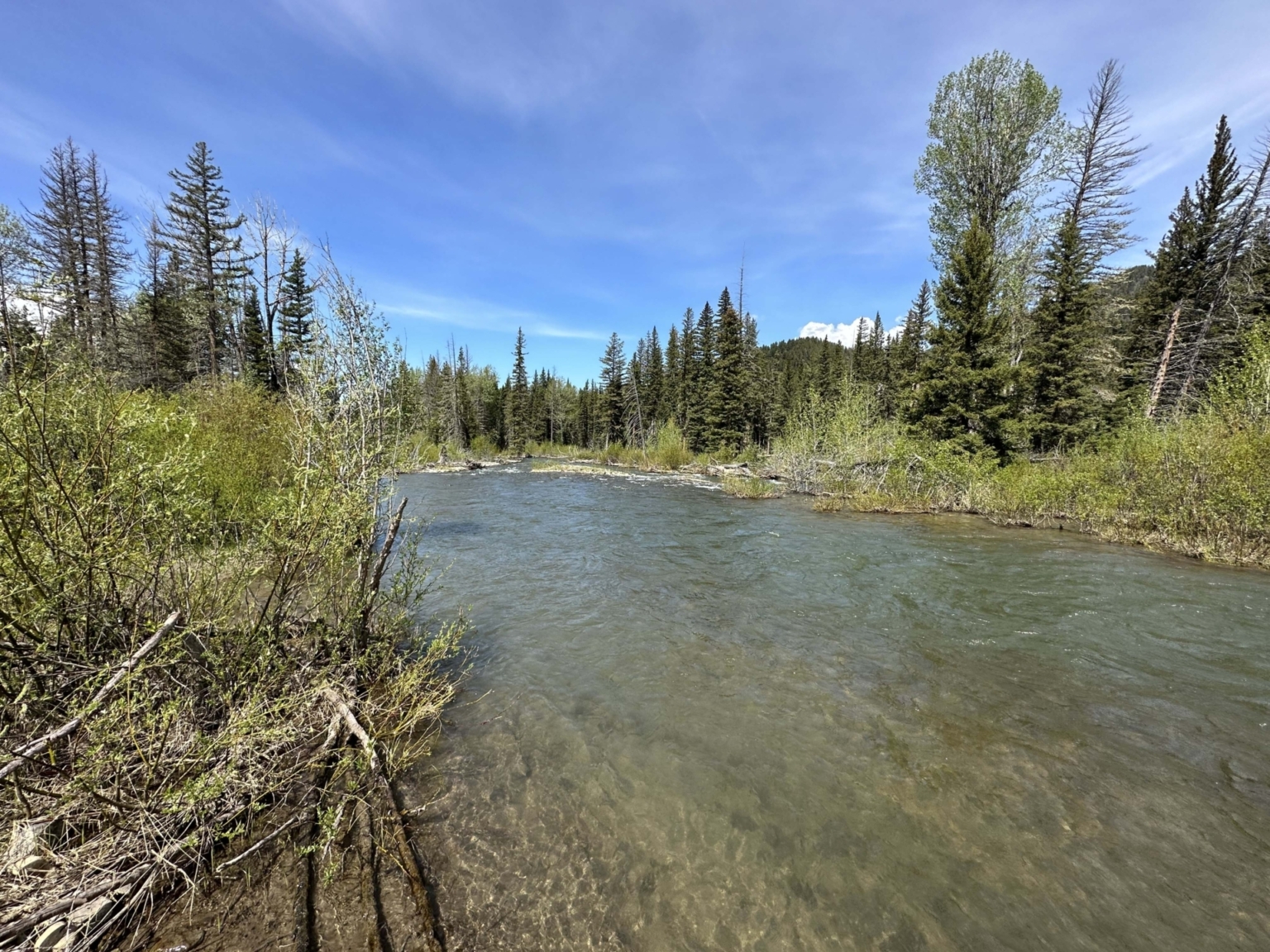 Montana Eagle Ranch | Wilsall Montana | Fay Ranches