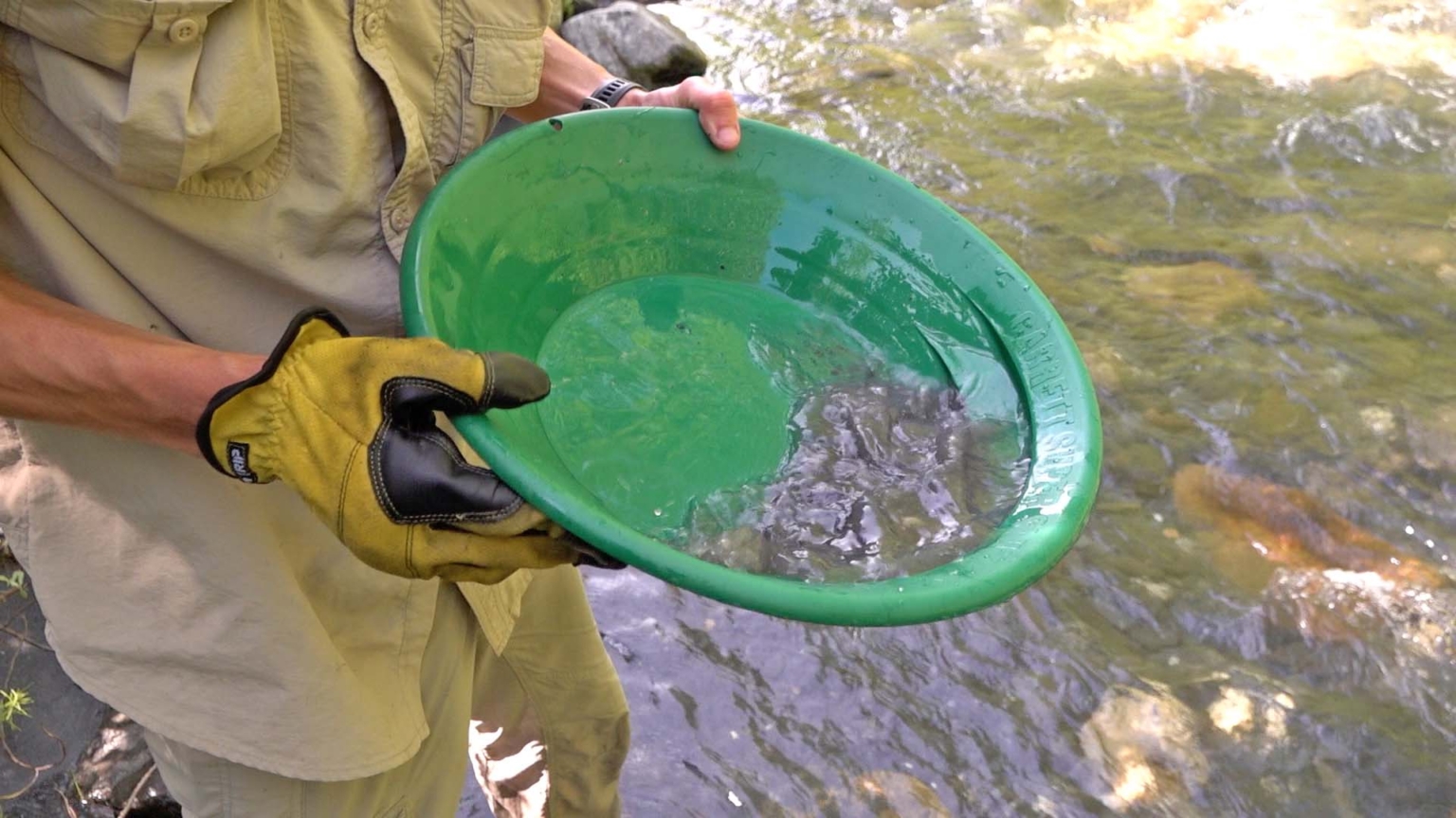 McWilliams Gold Claim | Talkeetna Alaska | Fay Ranches