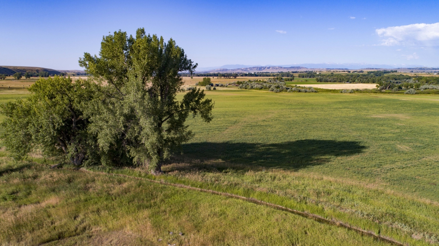 Happy Hunting Grounds | Edgar Montana | Fay Ranches