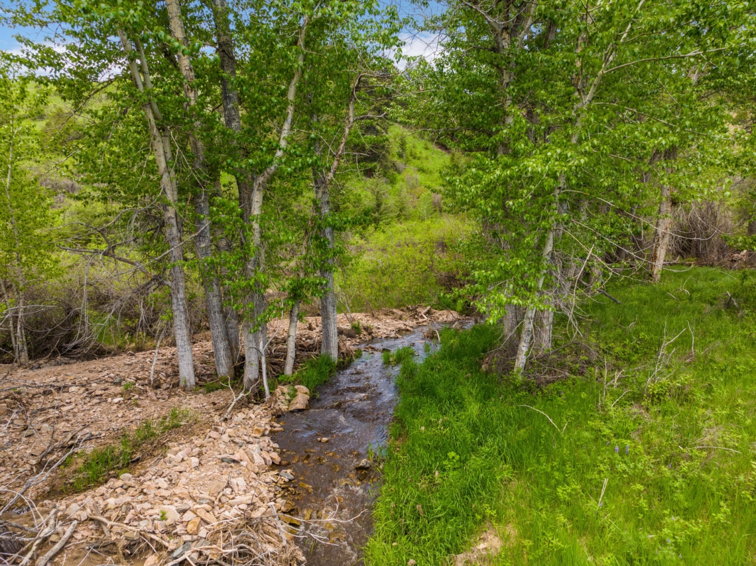 Maryott Gulch at Montana Ranch | Gallatin Gateway Montana | Fay Ranches