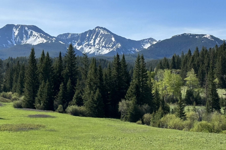 Montana Ranch Land Properties For Sale | Fay Ranches