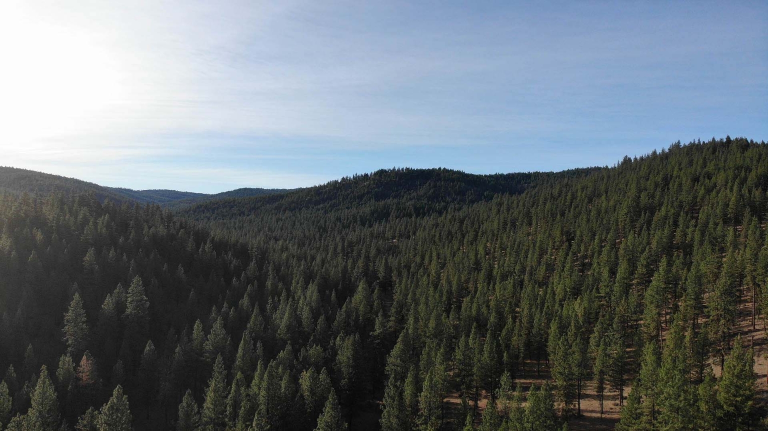 Ochoco Creek Ranch | Prineville Oregon | Fay Ranches