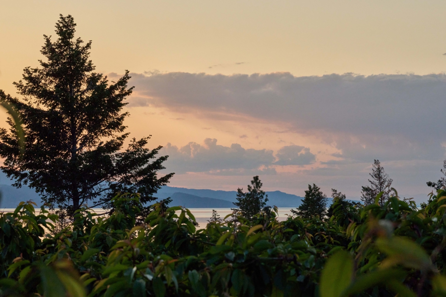 Sunset Vista Cherry Orchard | Polson Montana | Fay Ranches