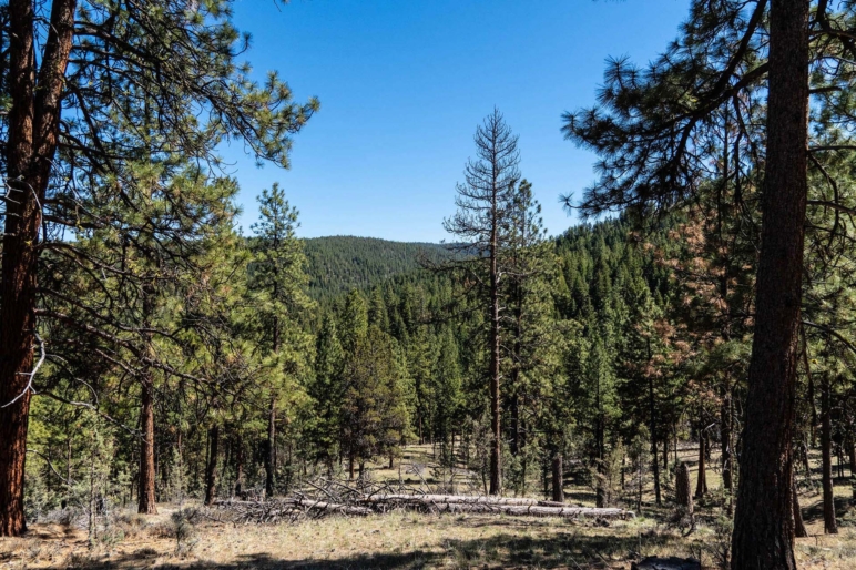 Ochoco Creek Ranch | Prineville Oregon | Fay Ranches