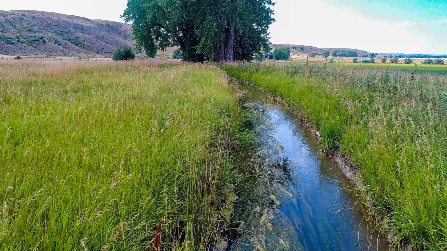 Happy Hunting Grounds | Edgar Montana | Fay Ranches