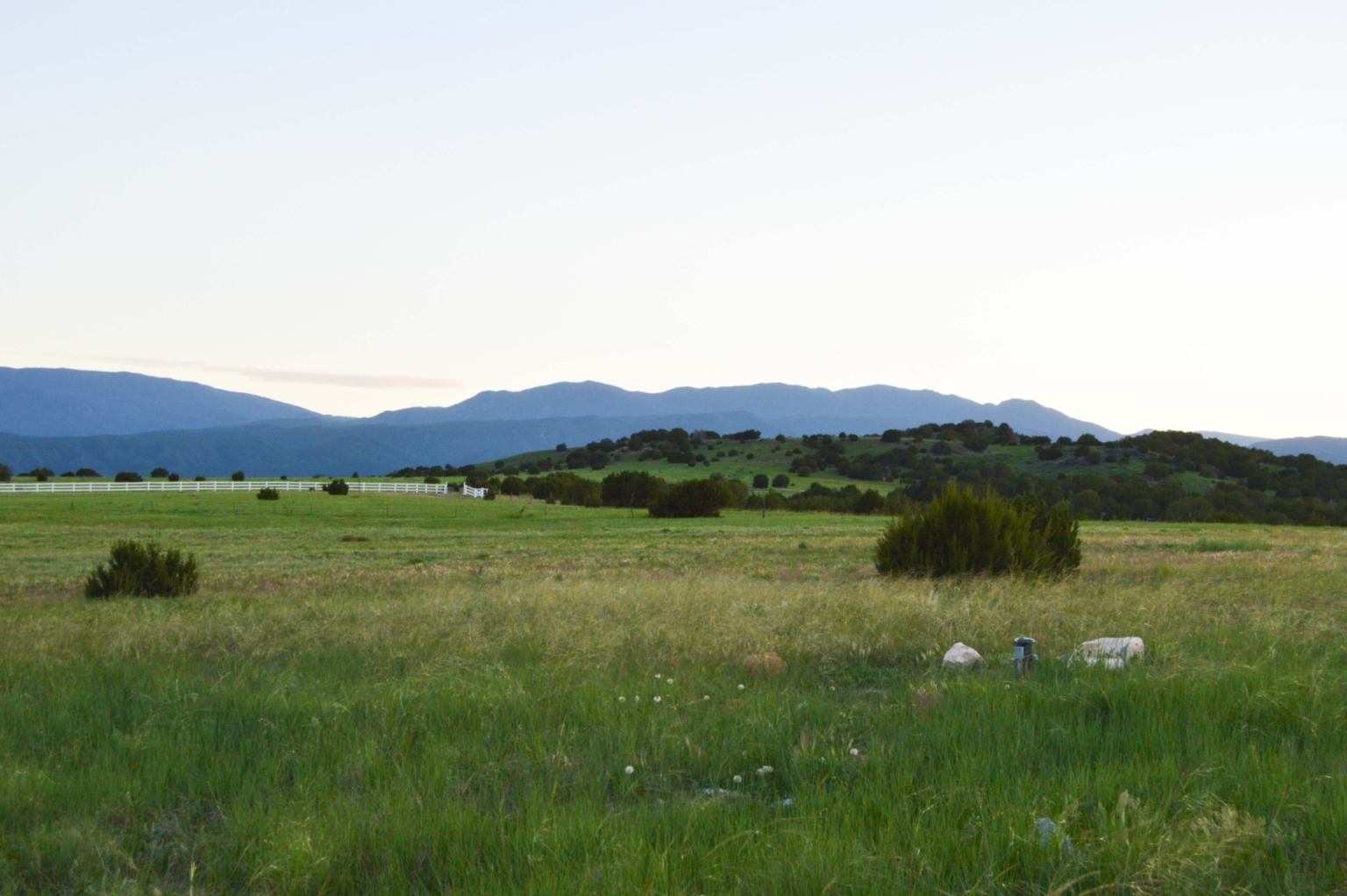 Painted Sky Ranch | Beulah Colorado | Fay Ranches