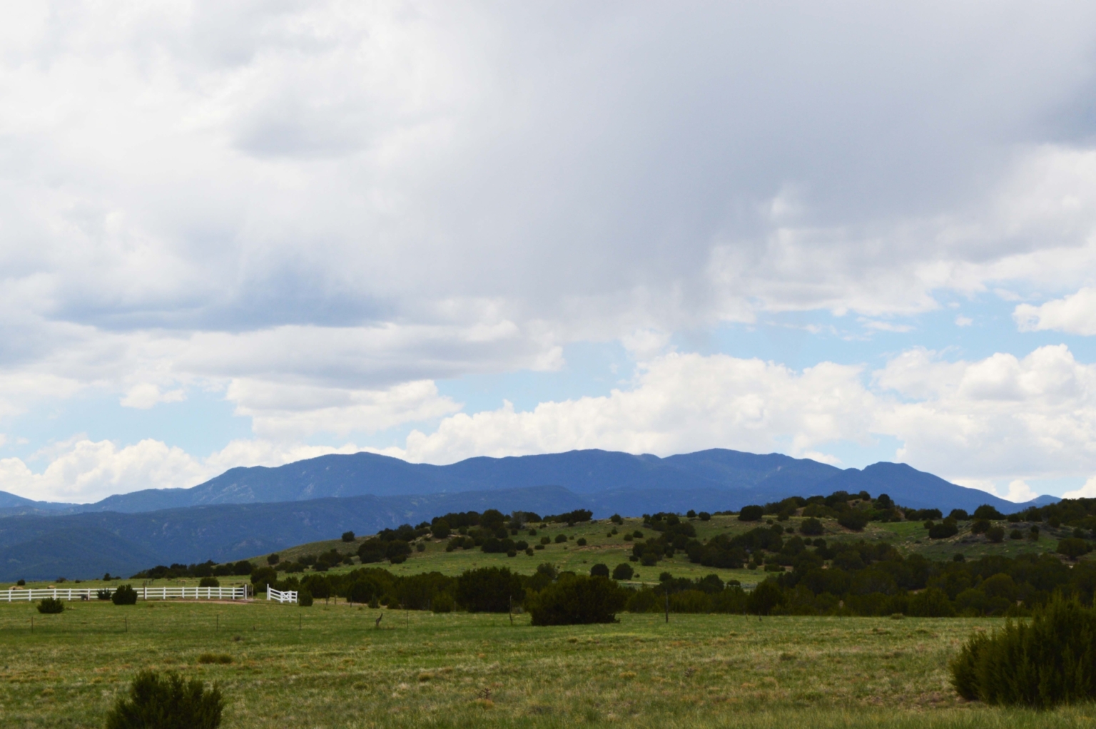 Painted Sky Ranch | Beulah Colorado | Fay Ranches