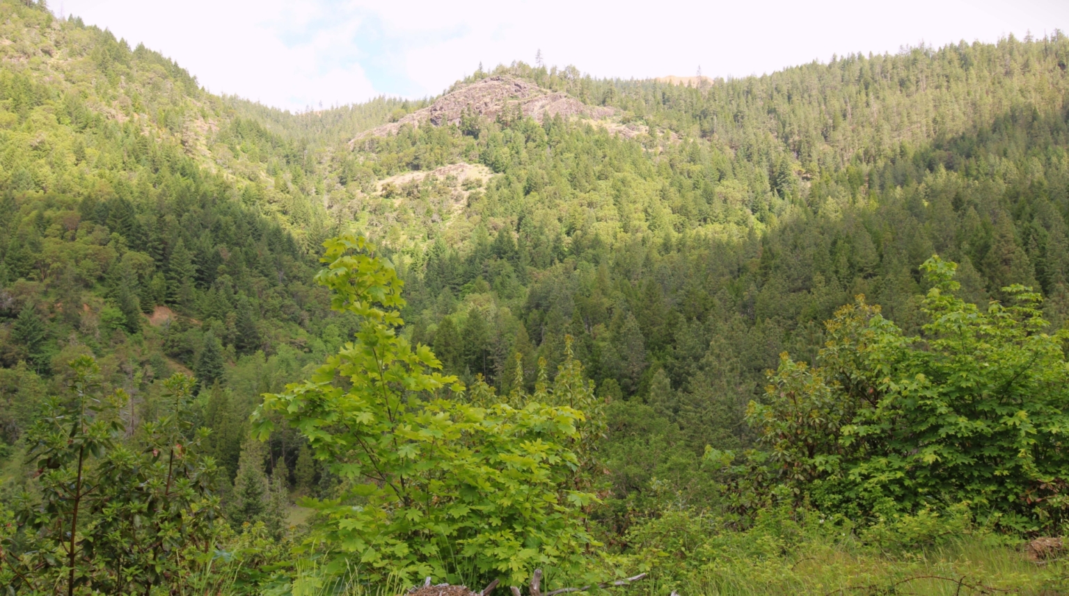 Nickel Mountain Ranch | Riddle Oregon | Fay Ranches