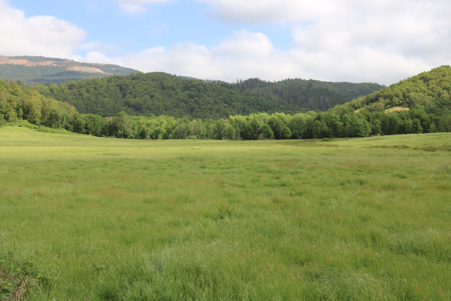 Nickel Mountain Ranch | Riddle Oregon | Fay Ranches