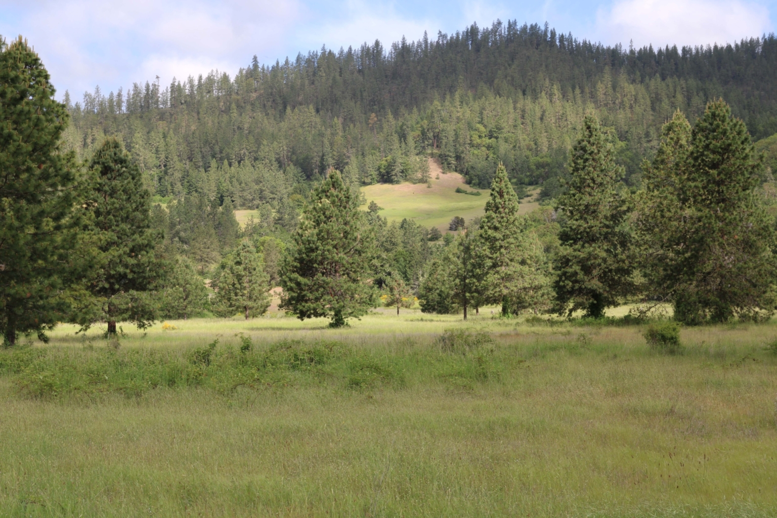 Nickel Mountain Ranch | Riddle Oregon | Fay Ranches