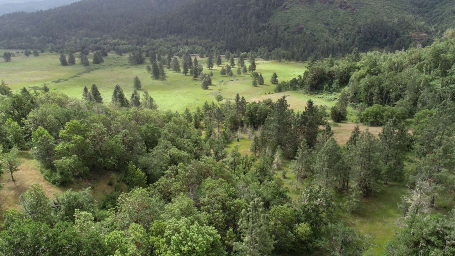 Nickel Mountain Ranch | Riddle Oregon | Fay Ranches
