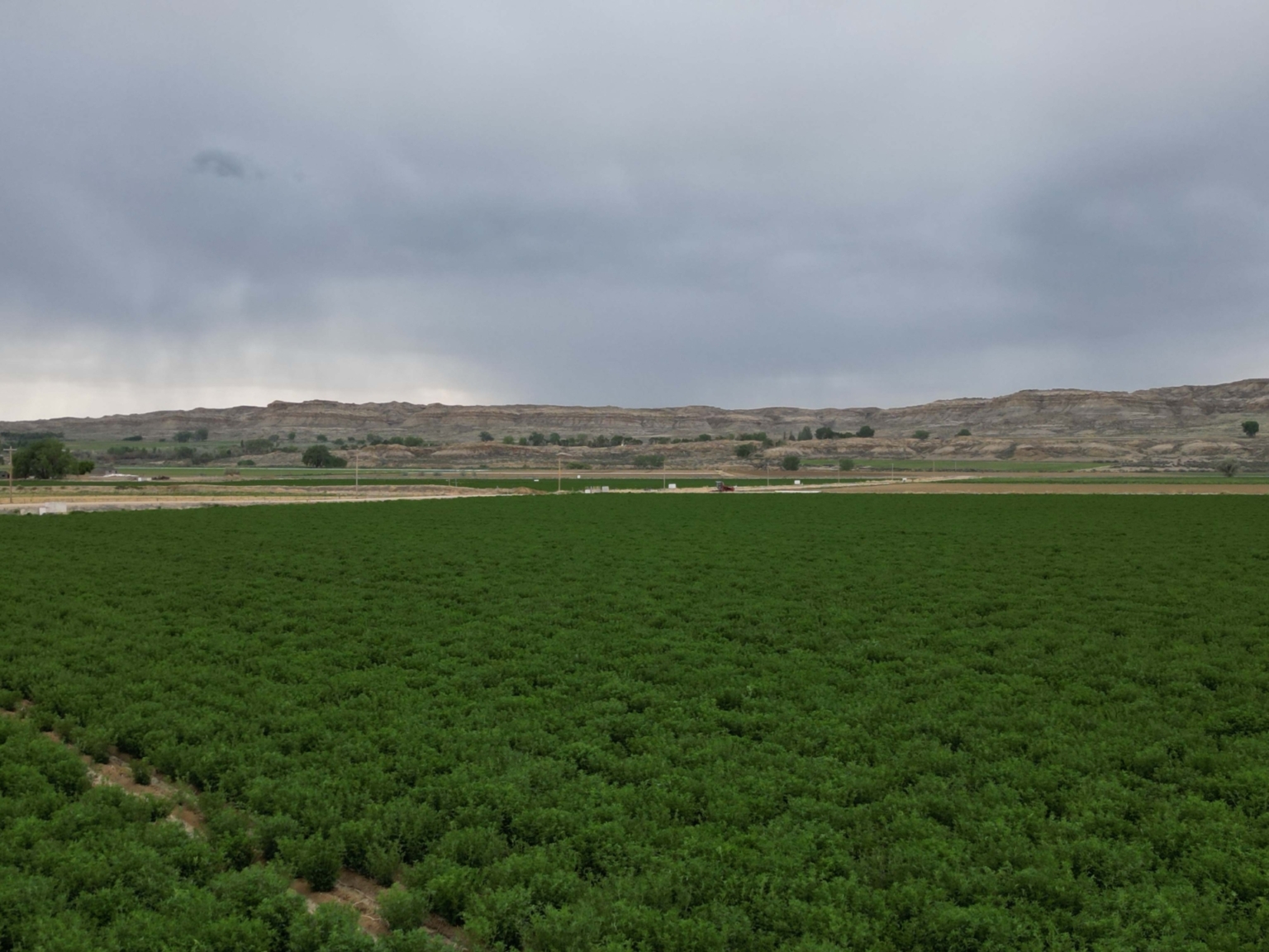 Polecat Bench Farm | Deaver Wyoming | Fay Ranches