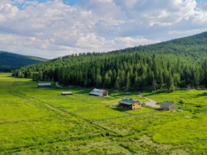 Browns Meadow Ranch | Kila Montana | Fay Ranches
