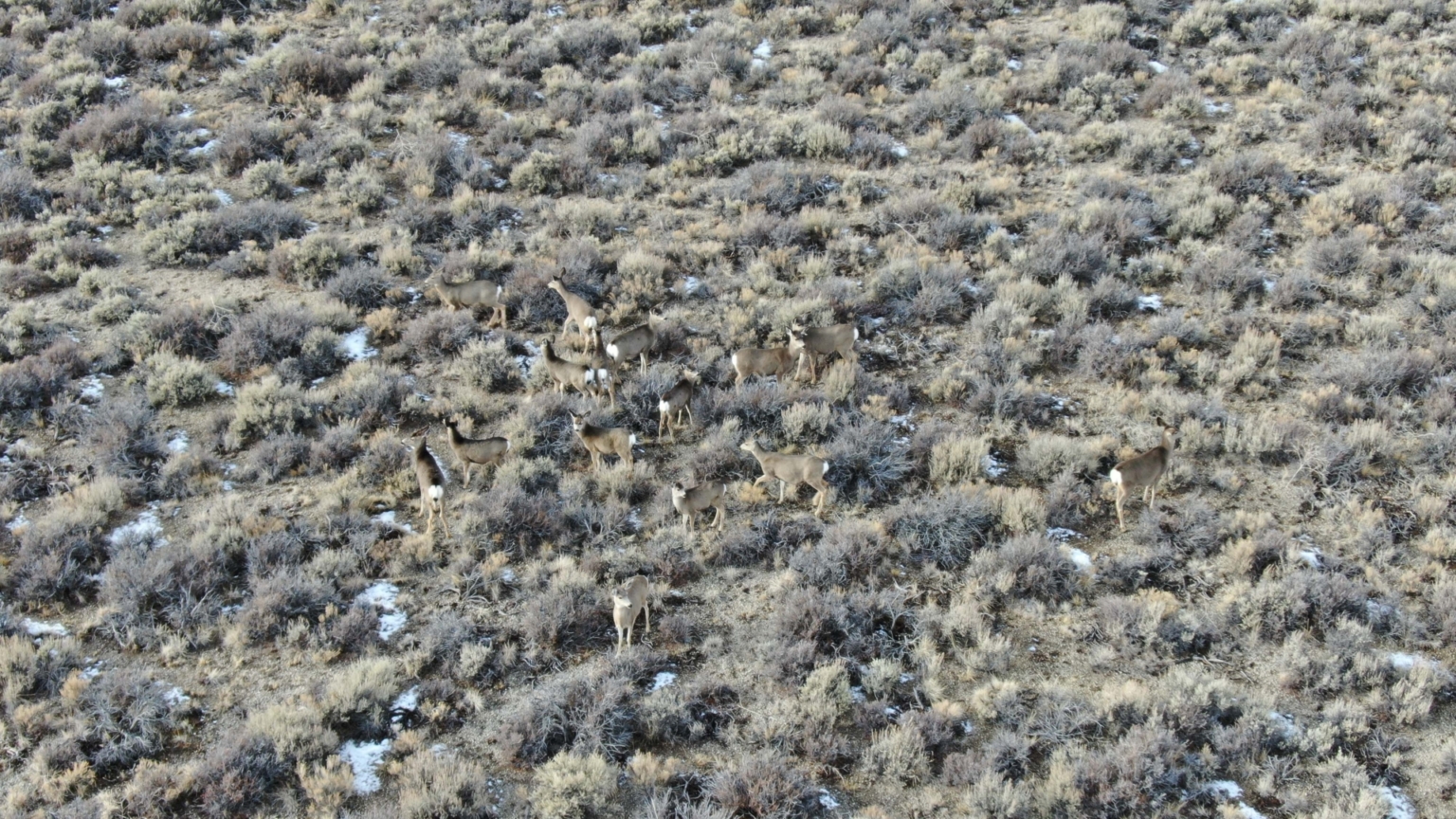 Moffitt Ranch | Brothers Oregon | Fay Ranches