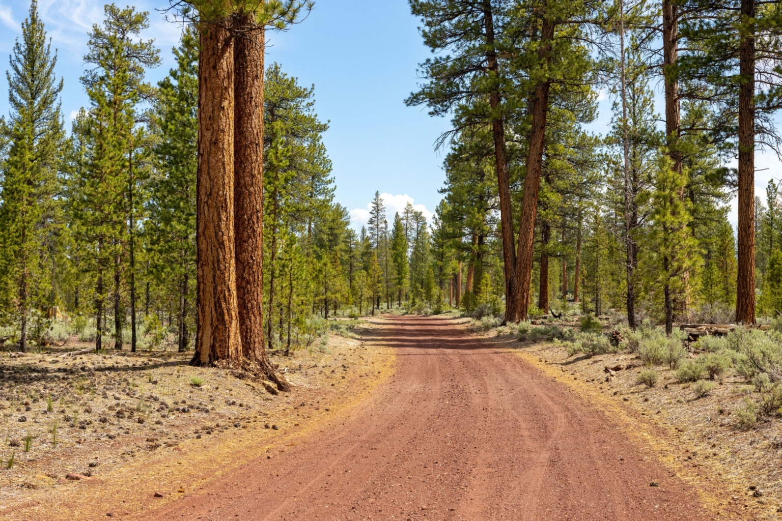 Moffitt Ranch | Brothers Oregon | Fay Ranches