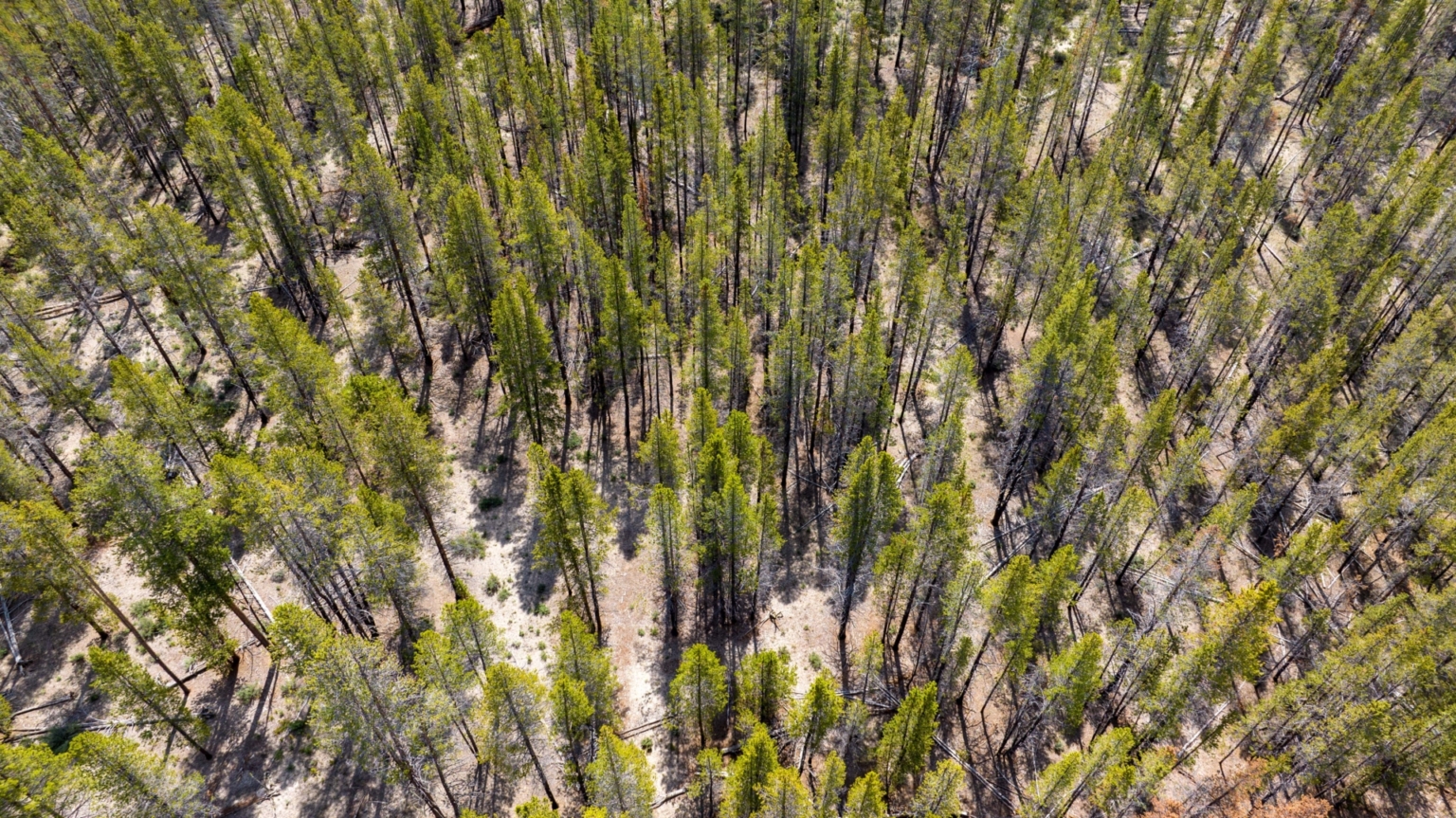 Moffitt Ranch | Brothers Oregon | Fay Ranches
