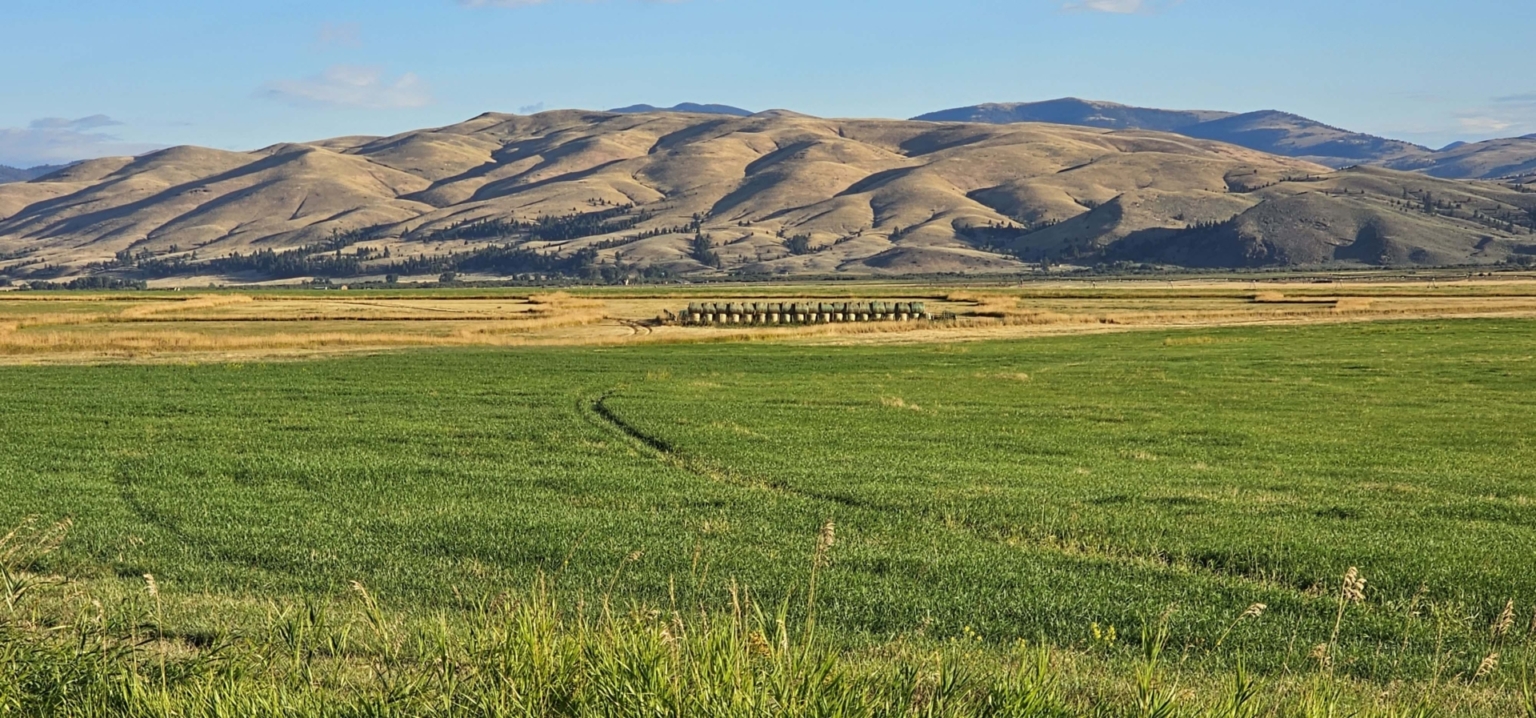 Settle Ranch | Canyon Creek Montana | Fay Ranches