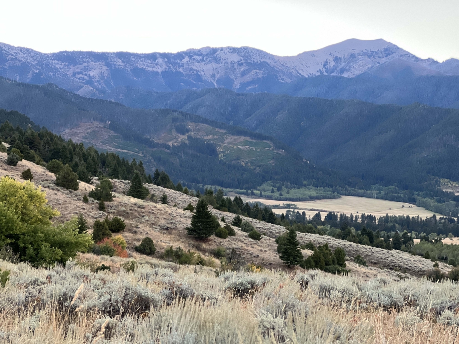 Bridger Foothills Parcel 1 | Belgrade Montana | Fay Ranches