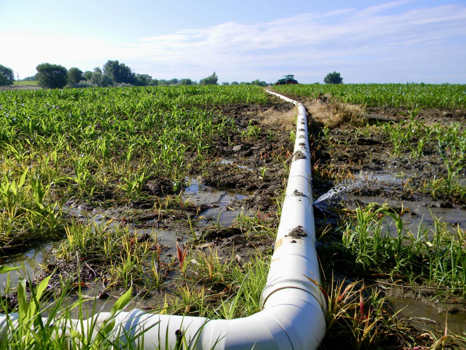 River Springs Ranch | Parma Idaho | Fay Ranches