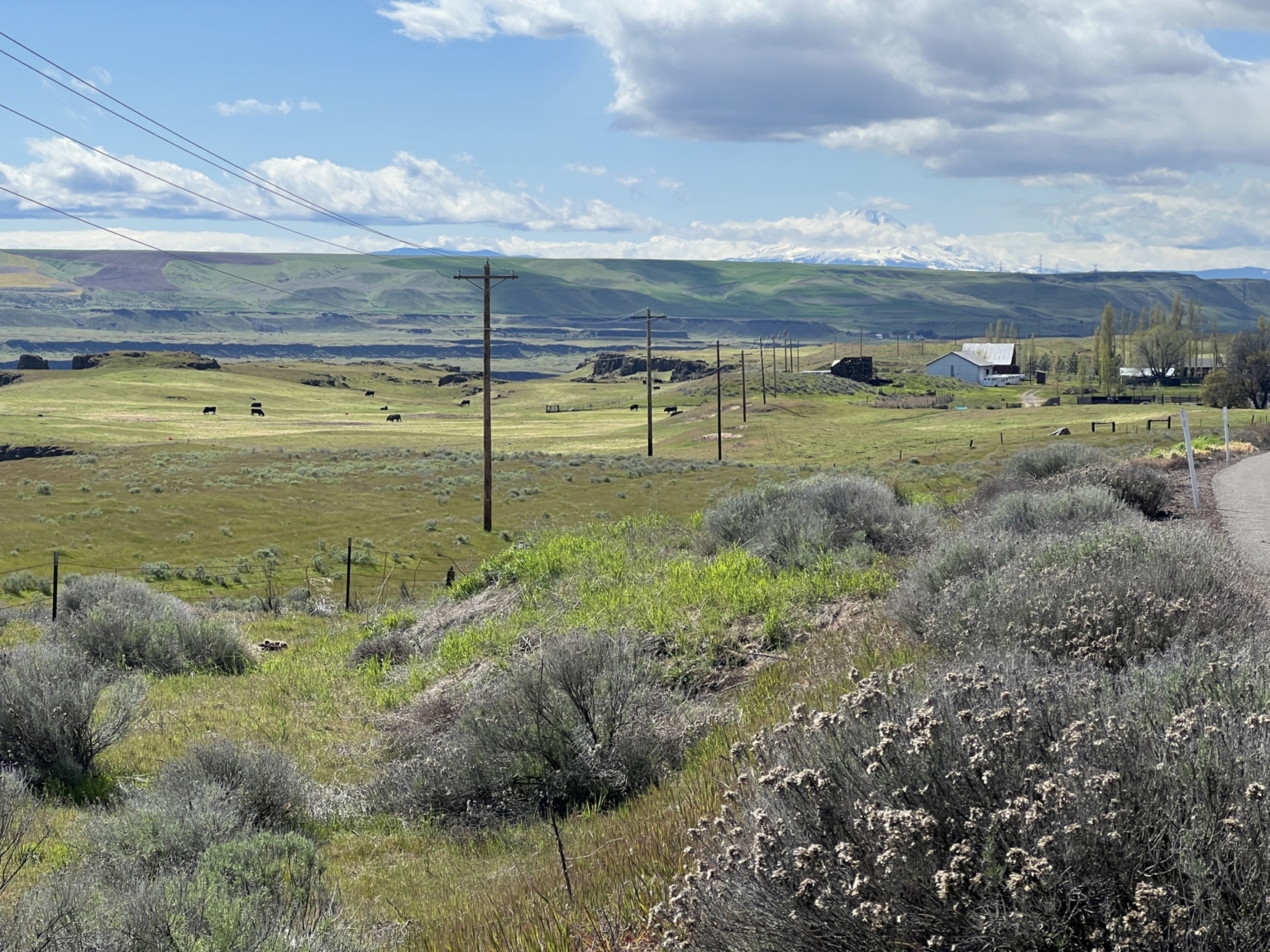 Columbia Gorge Cattle Ranch | Goldendale Washington | Fay Ranches