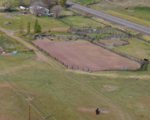 Columbia Gorge Cattle Ranch | Goldendale Washington | Fay Ranches