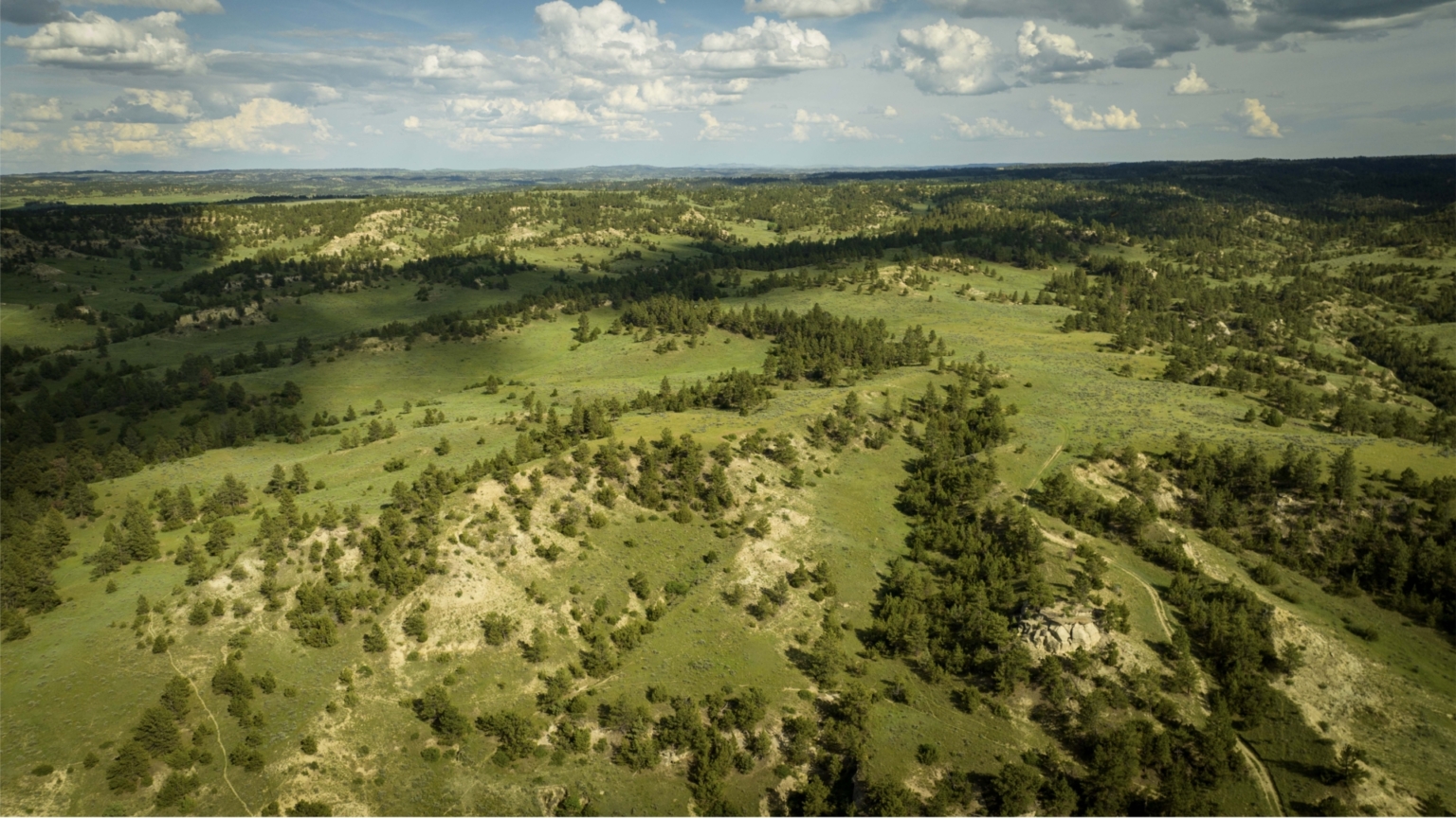 Bighorn River Ranch | Montana Hunting Property | Fay Ranches