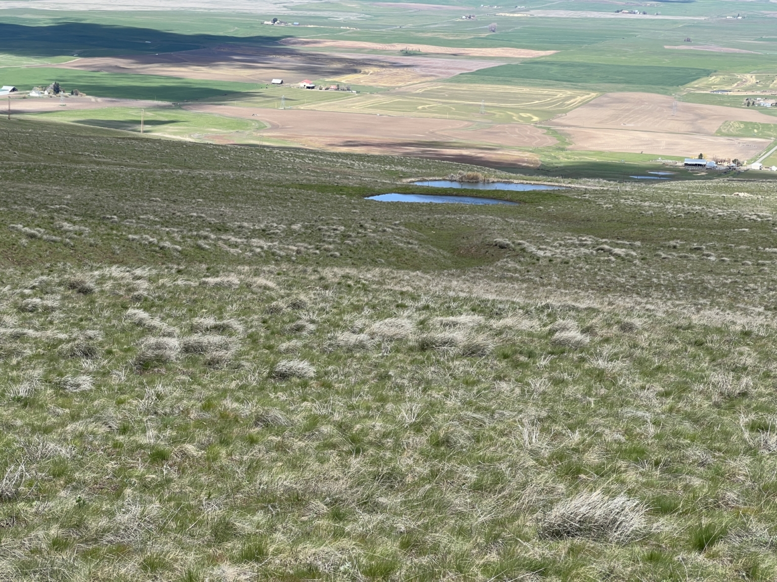 Columbia Gorge Cattle Ranch | Goldendale Washington | Fay Ranches