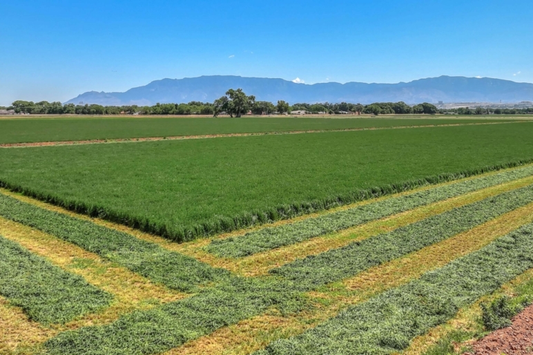 New Mexico Ranch Land Properties For Sale | Fay Ranches