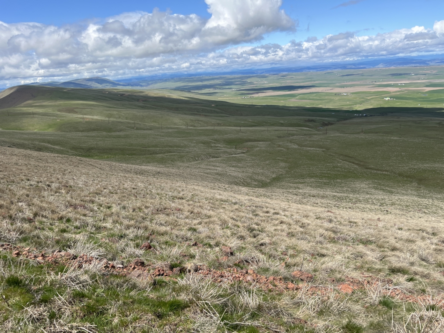 Columbia Gorge Cattle Ranch | Goldendale Washington | Fay Ranches