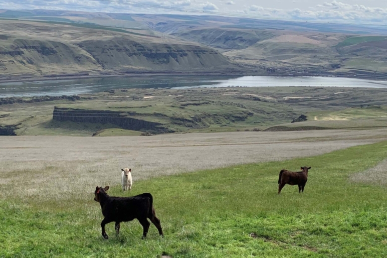 Fay Ranches | Brokering the Finest Ranches For Sale Coast to Coast