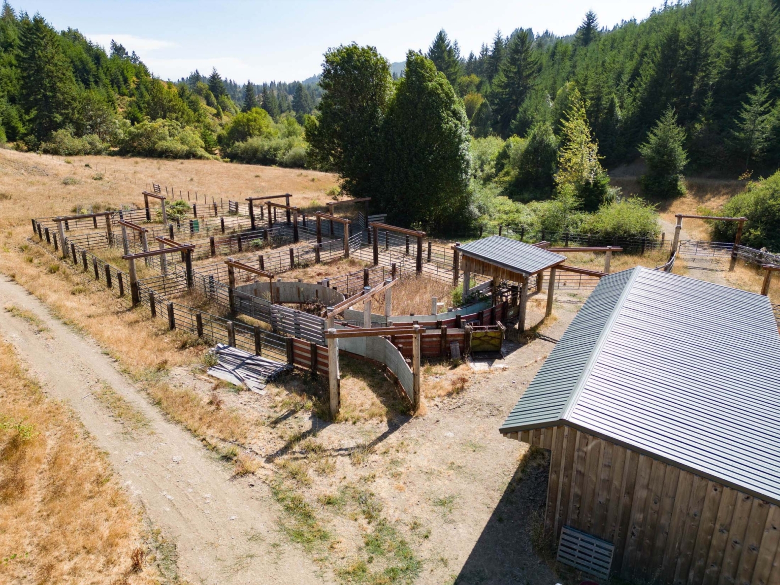 Upstream Timber and Cattle Ranch | Myrtle Point Oregon | Fay Ranches