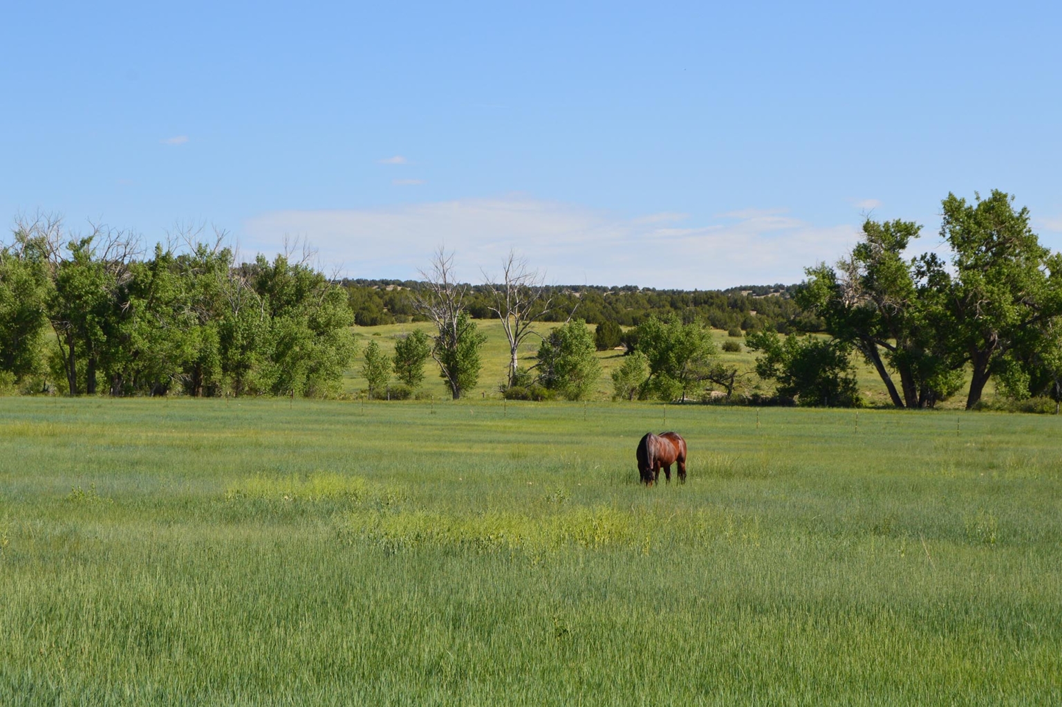 Zoe’s Ranch | Pueblo Colorado | Fay Ranches