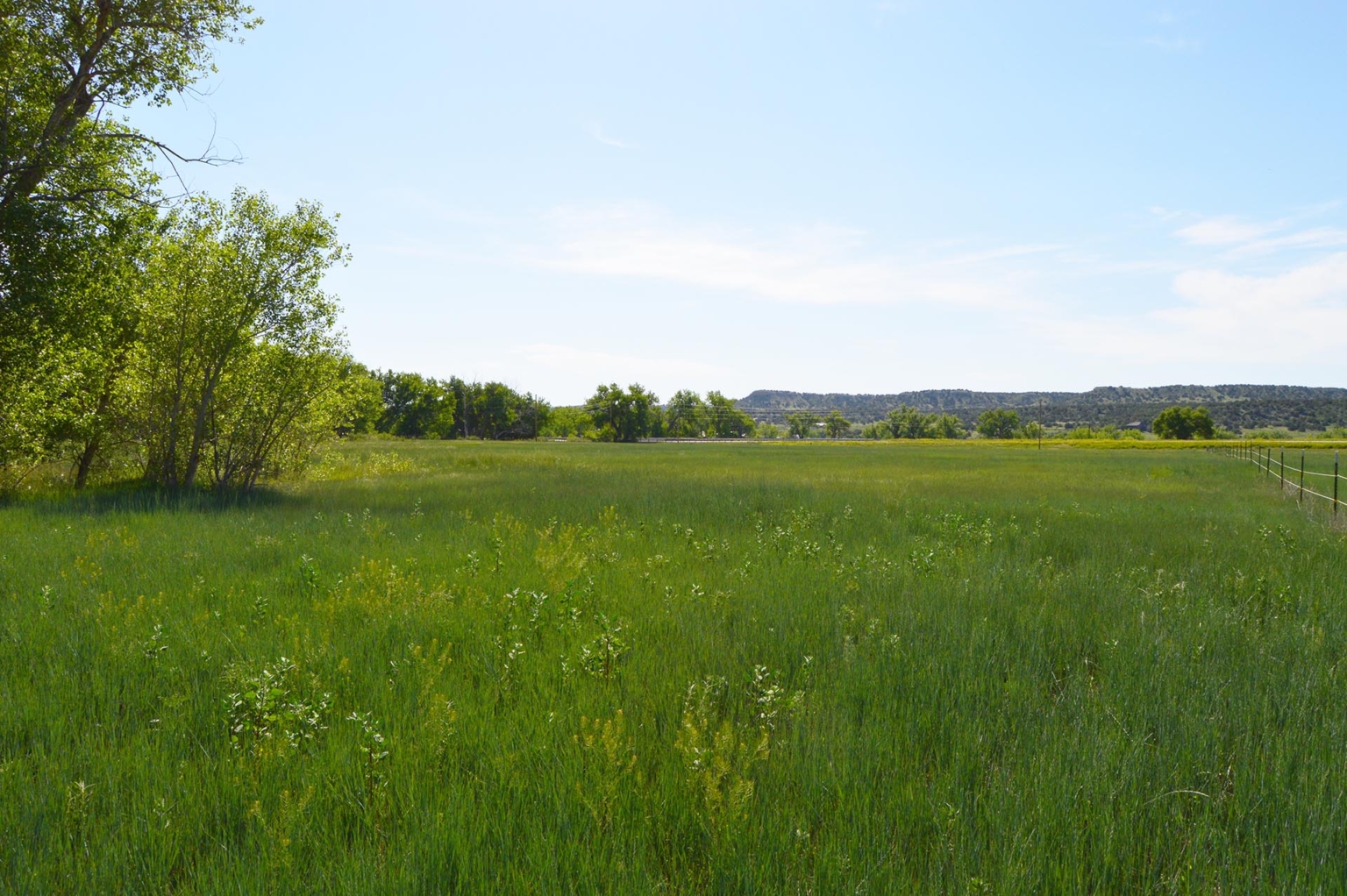 Zoe’s Ranch | Pueblo Colorado | Fay Ranches