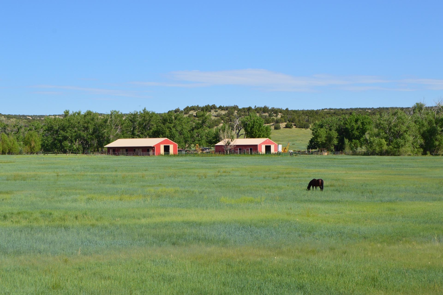 Zoe’s Ranch | Pueblo Colorado | Fay Ranches
