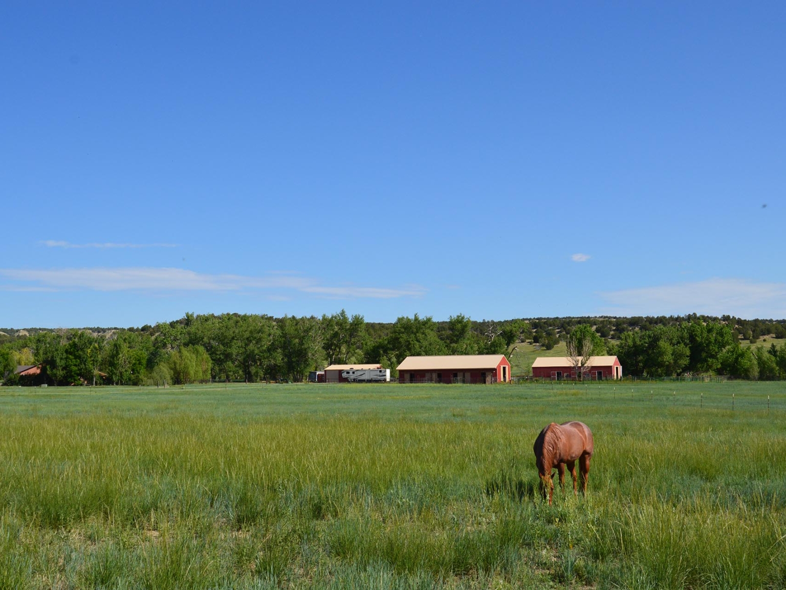Zoe’s Ranch | Pueblo Colorado | Fay Ranches