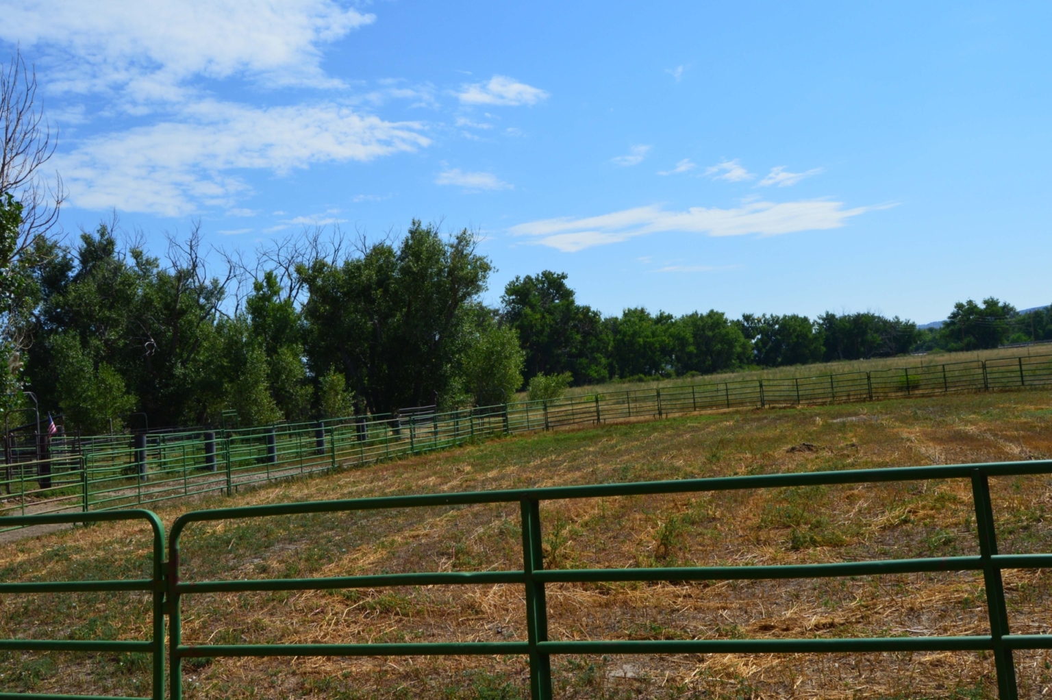 Zoe’s Ranch | Pueblo Colorado | Fay Ranches