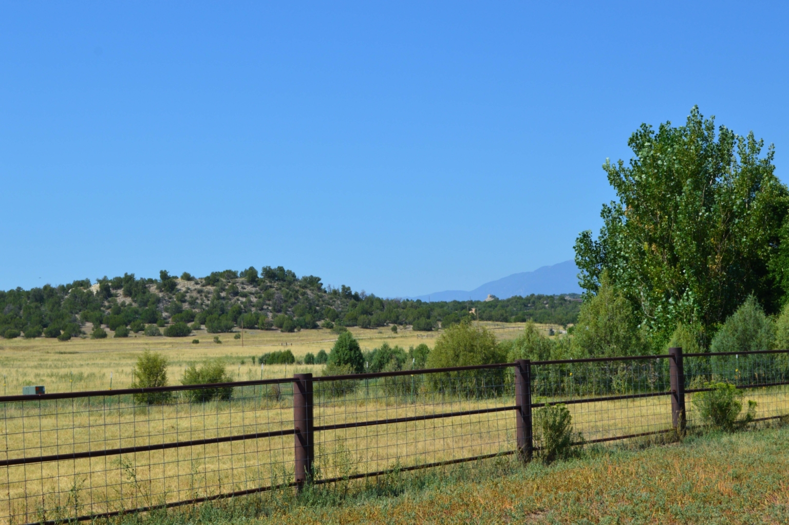 Zoe’s Ranch | Pueblo Colorado | Fay Ranches