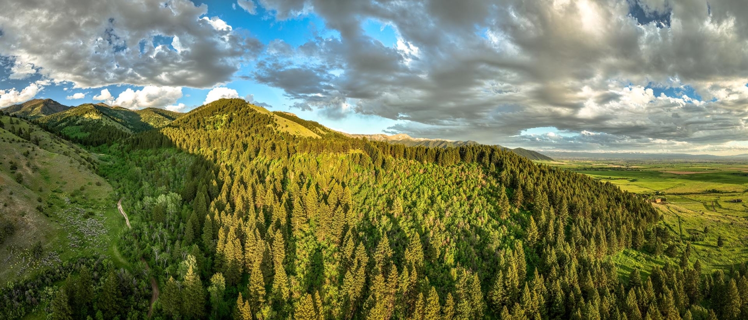 Springhill Ridge | Belgrade Montana | Fay Ranches