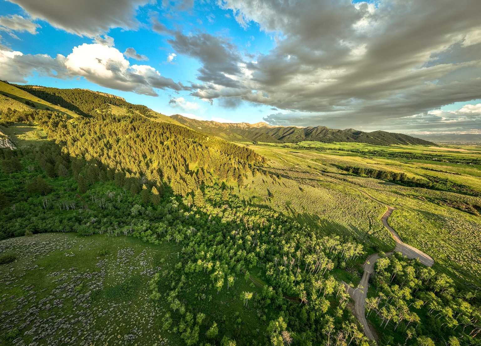 Springhill Ridge | Belgrade Montana | Fay Ranches