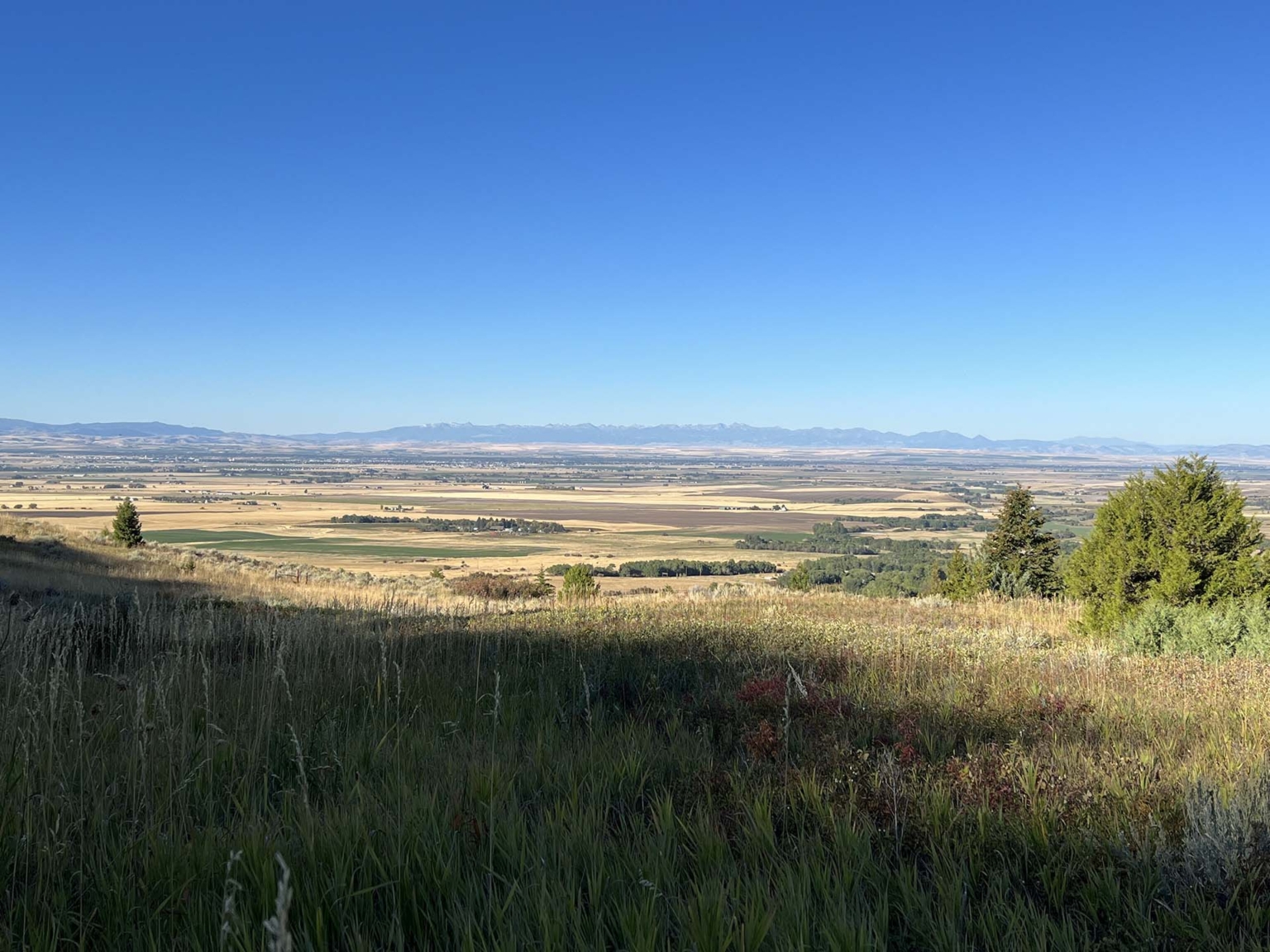 Springhill Ridge | Belgrade Montana | Fay Ranches