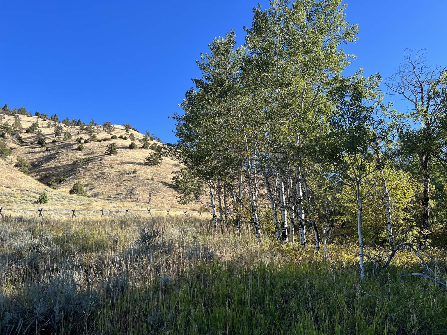 Springhill Ridge | Belgrade Montana | Fay Ranches