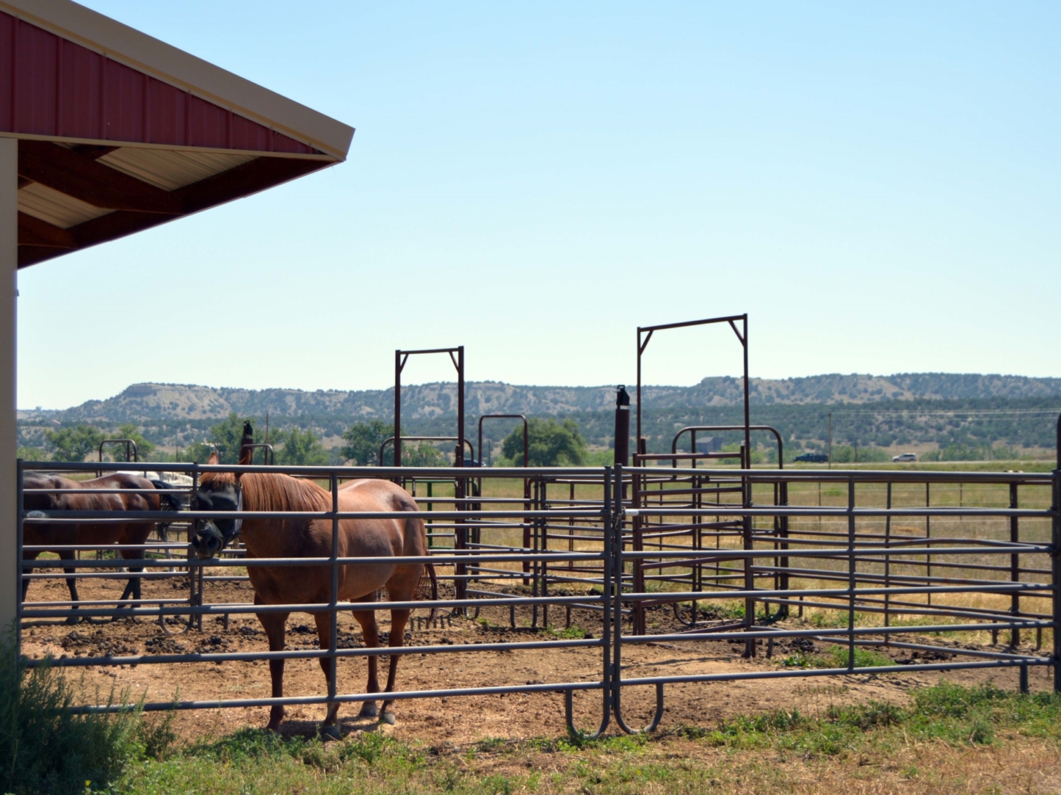 Zoe’s Ranch | Pueblo Colorado | Fay Ranches