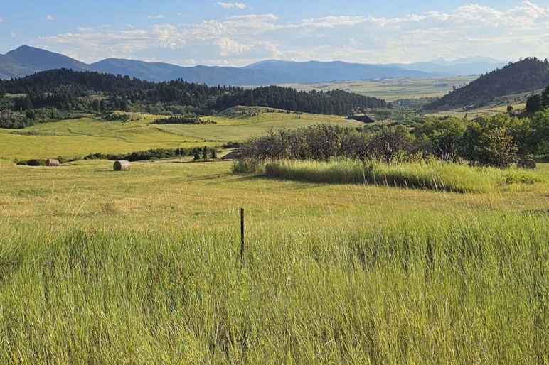 Montana Ranch Land Properties For Sale | Fay Ranches