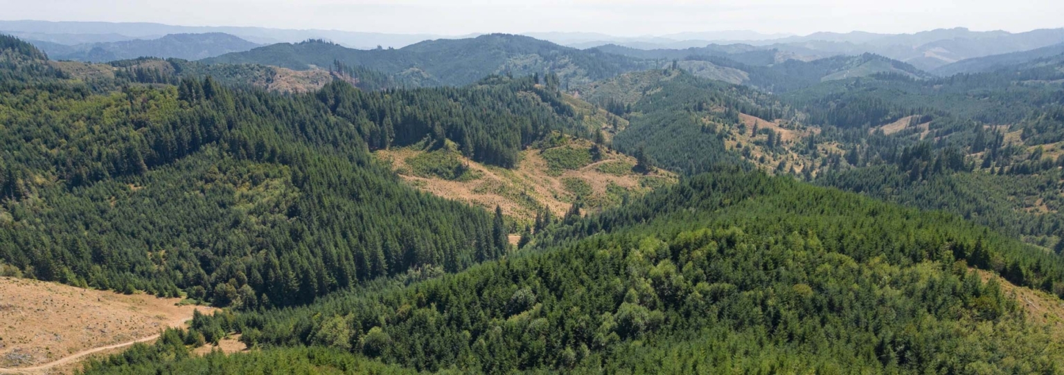 Upstream Timber and Cattle Ranch | Myrtle Point Oregon | Fay Ranches