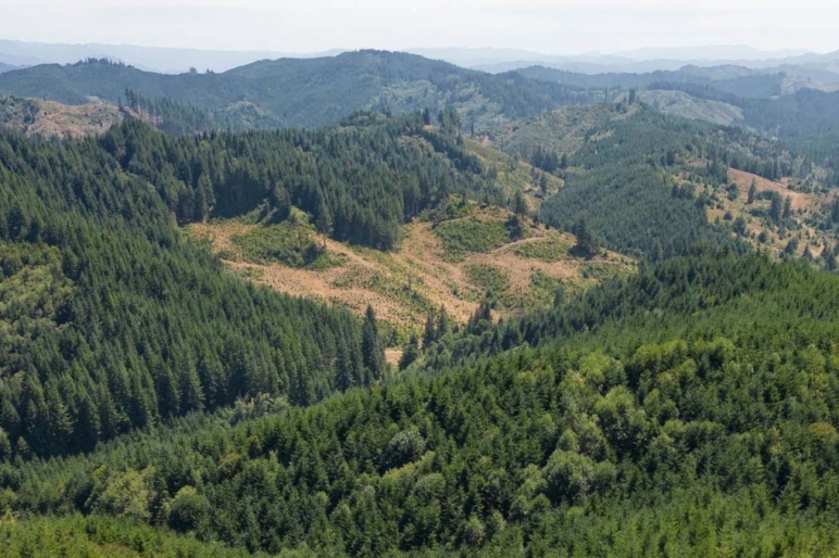 Oregon Ranch Land Properties For Sale | Fay Ranches