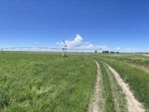 Yoder Irrigated Farm | Yoder Wyoming | Fay Ranches