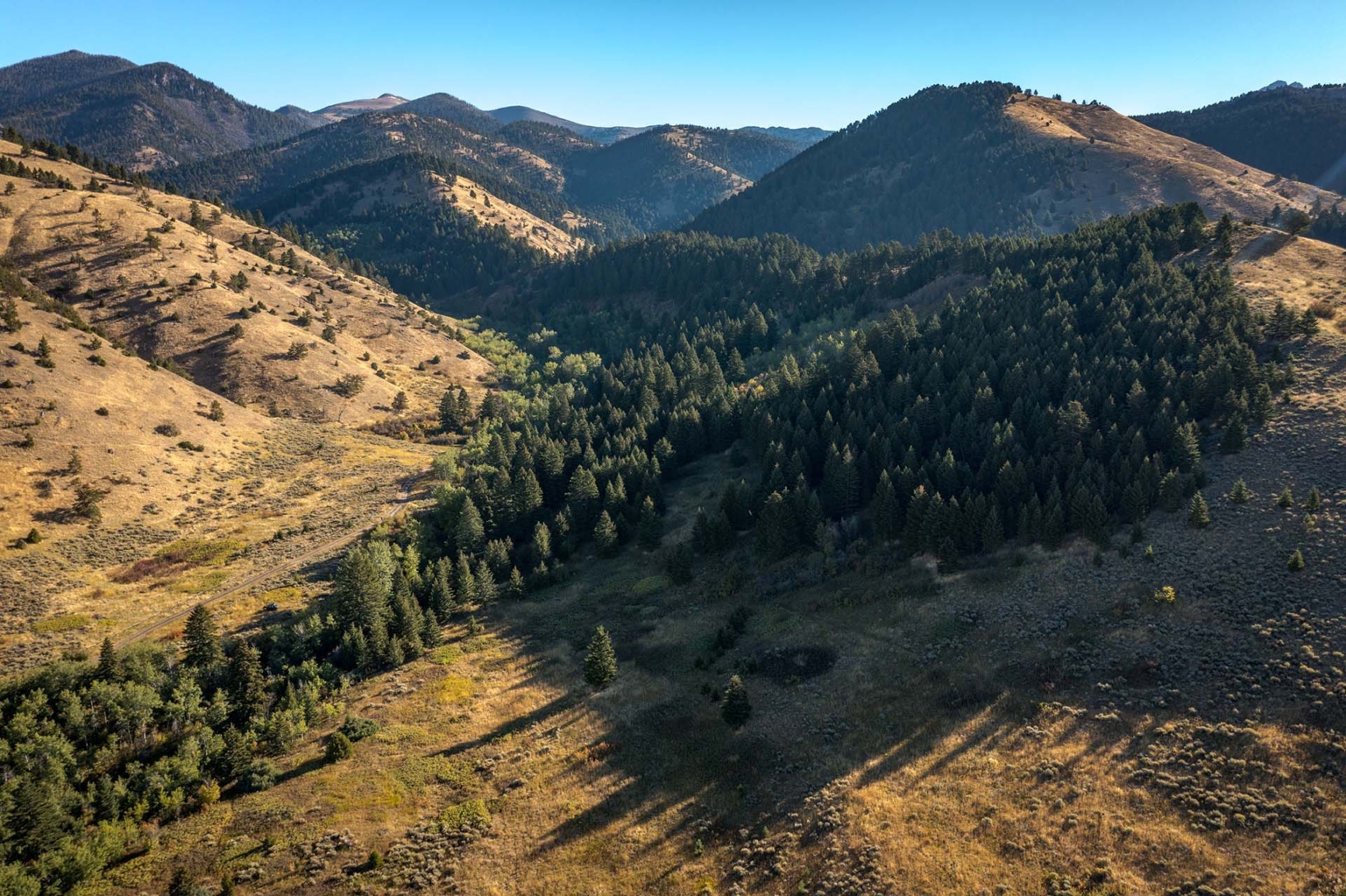 Springhill Ridge | Belgrade Montana | Fay Ranches
