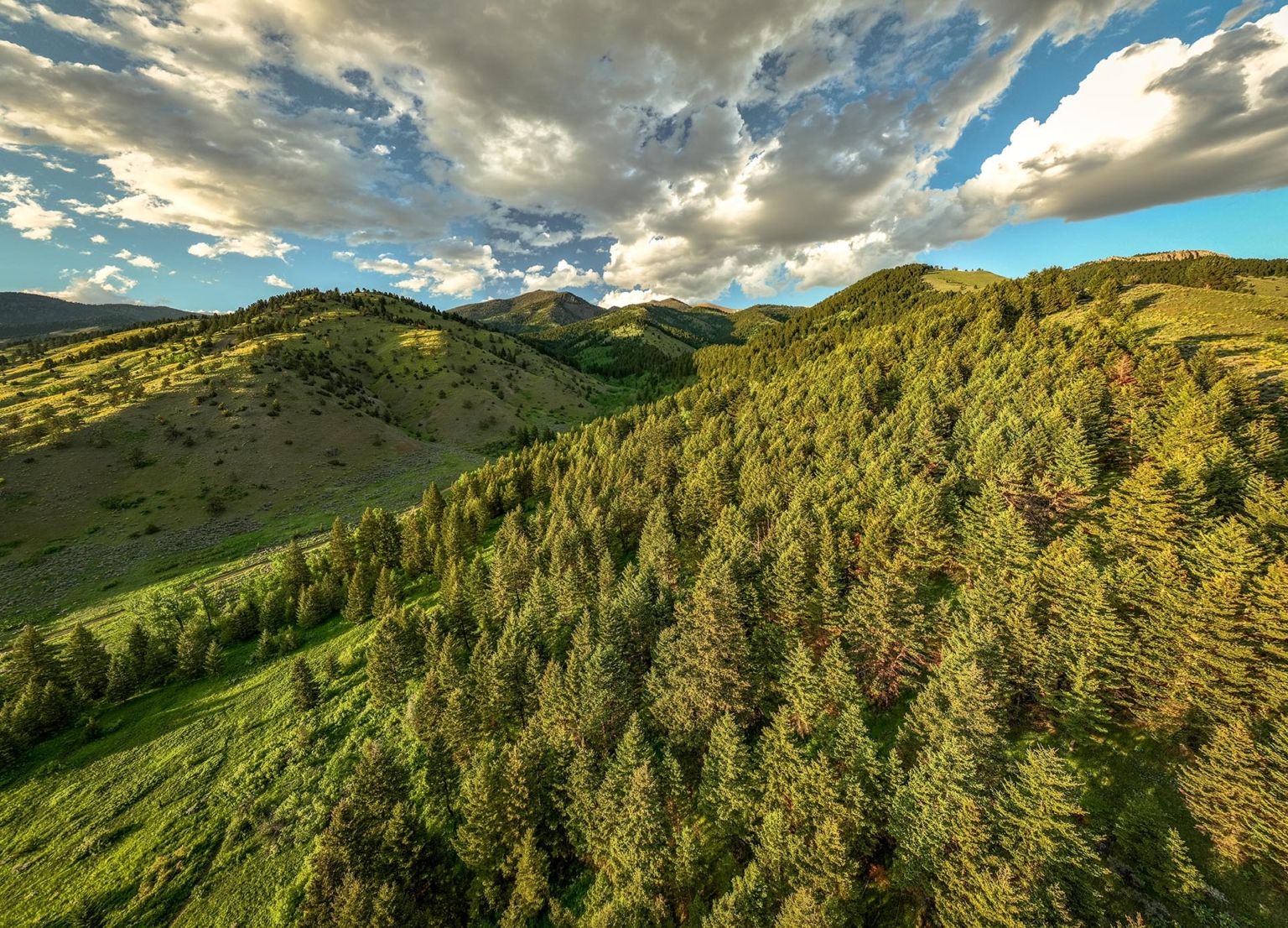 Springhill Ridge | Belgrade Montana | Fay Ranches